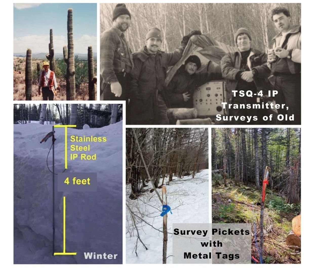 Vickers Geophysics Inc Induced Polarization Geophysics Ip Survey
